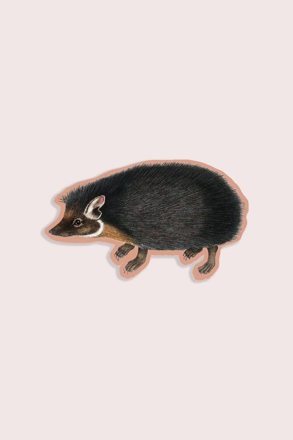 Stay Home Club - HUMBLE HEDGEHOG Gap Filler Sticker – Watson & Lou